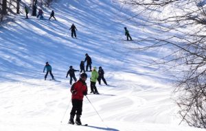 Home - Hockley Valley Resort