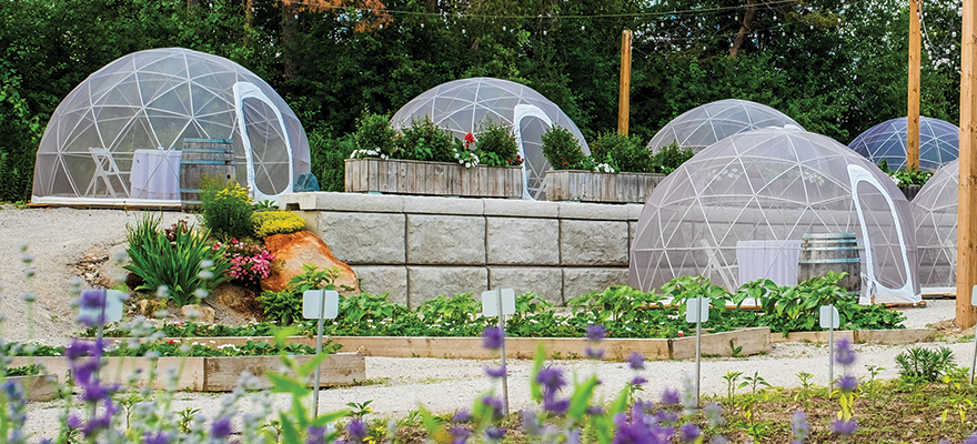 Hockley Valley Resort Home - Hockley