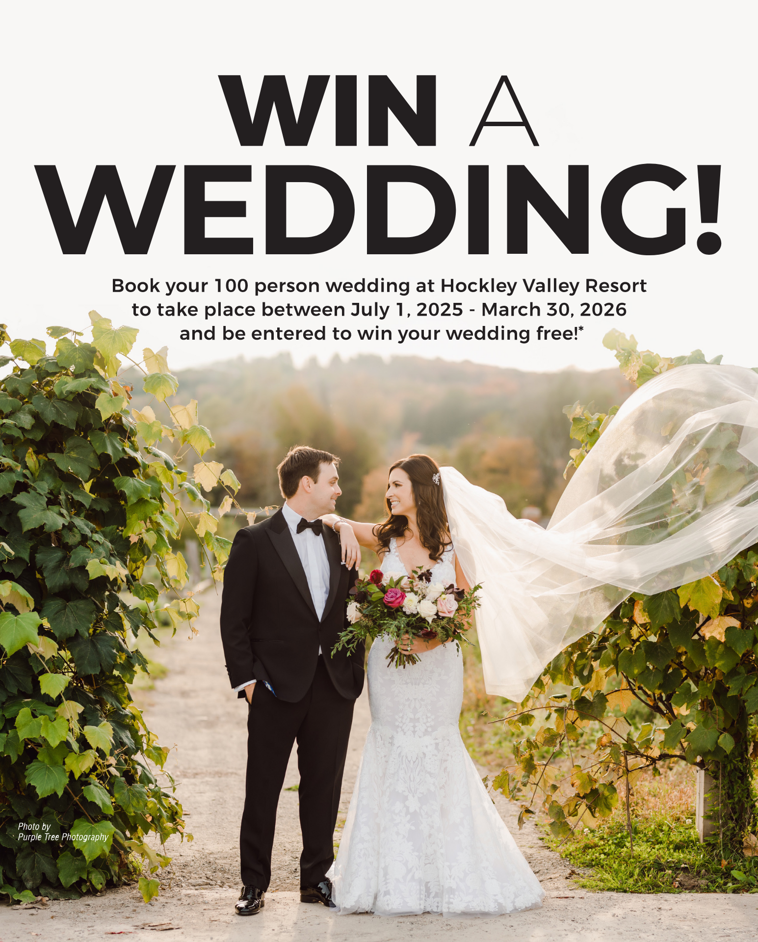 Win a free wedding 2024 60 photos - Astyledwedding.com