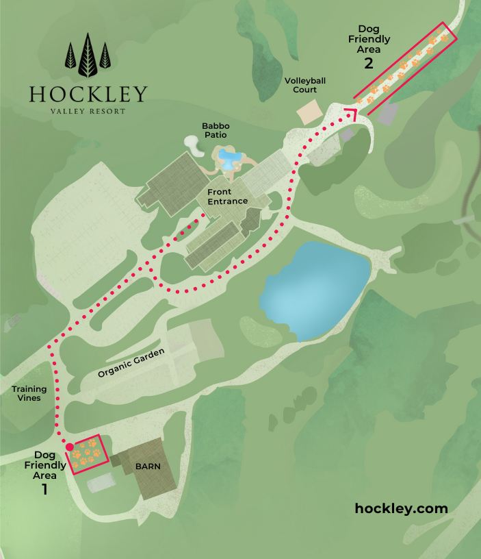 Dog Friendly Policy - Hockley