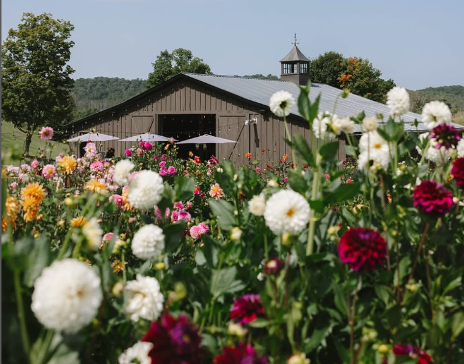 Things To Do In The Area - Hockley