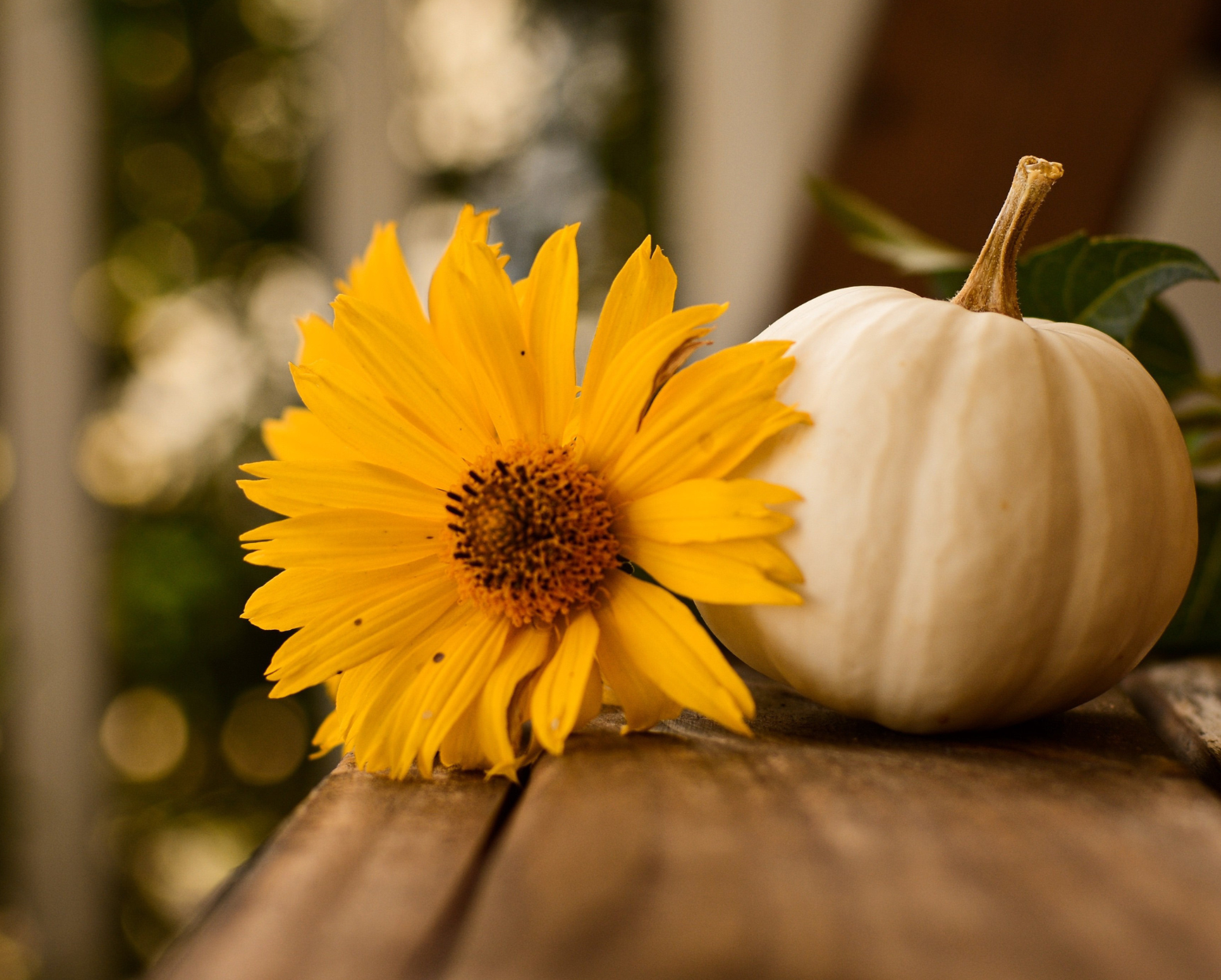 Hockley Valley Resort | Ontario Four-Season Resort