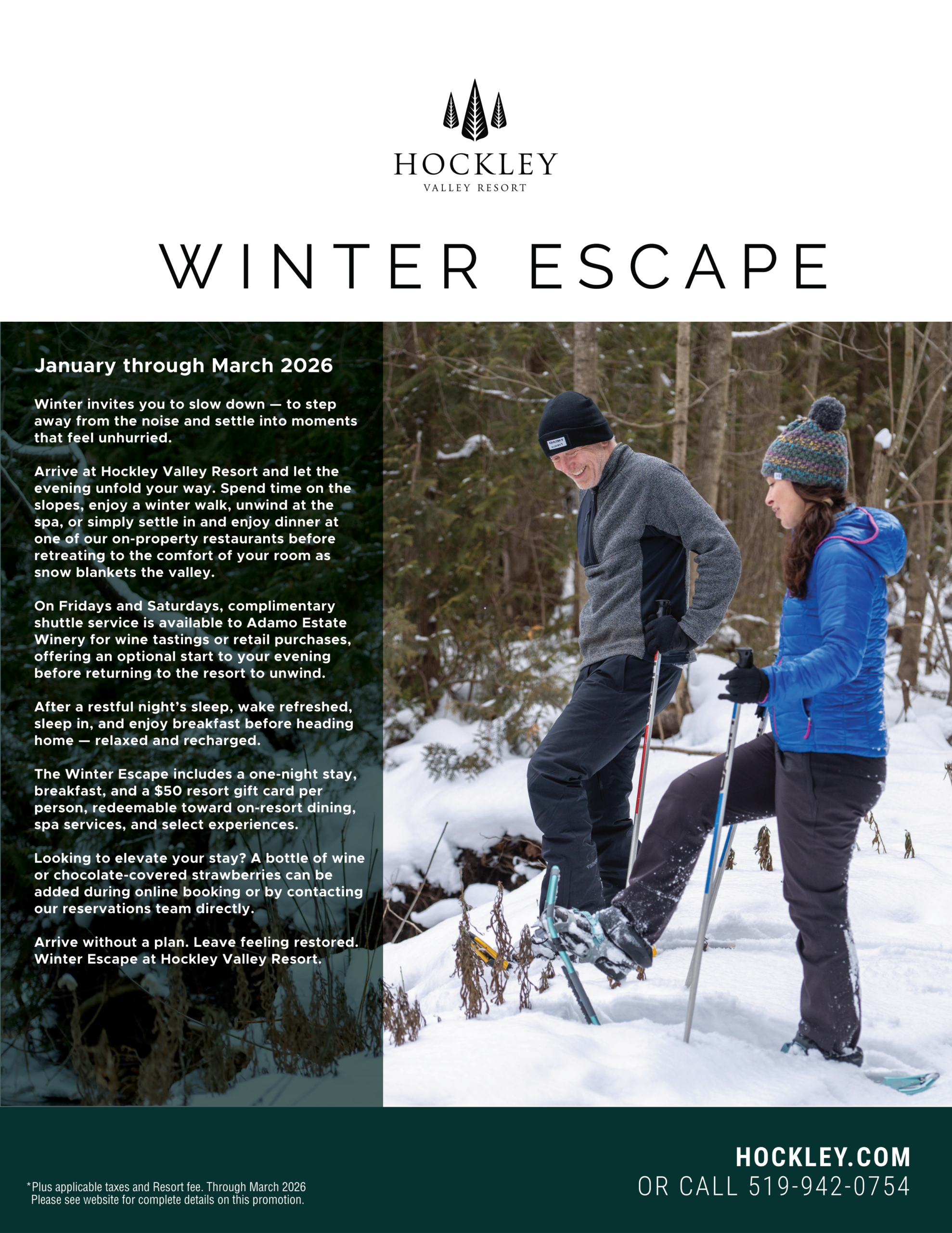 Winter Escape - Hockley